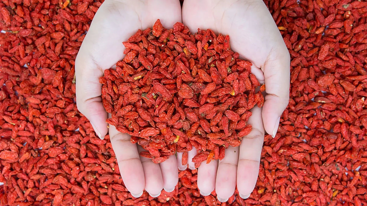 Bayas de Goji: Refuerza tu sistema inmunológico con Inmunok – Bioksan